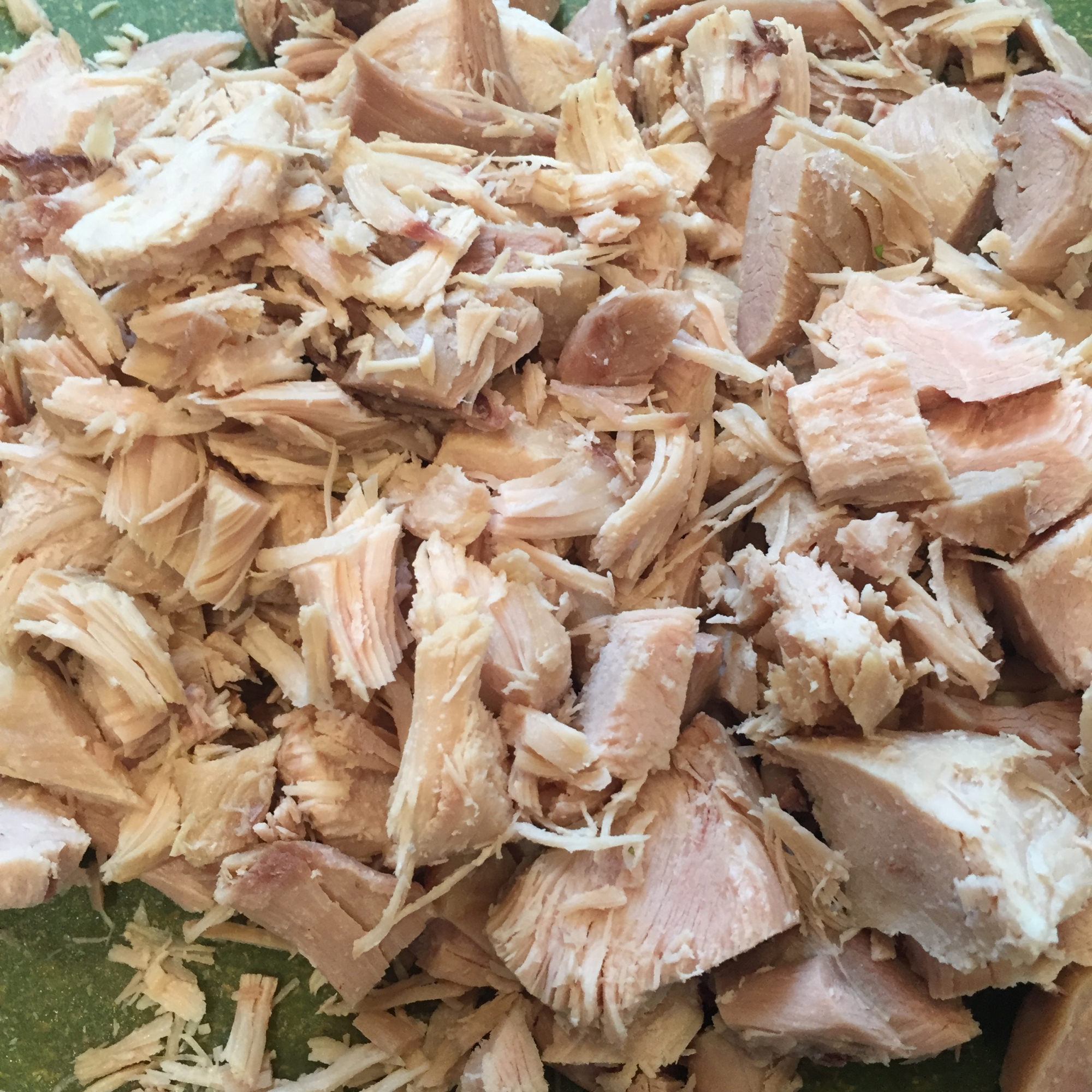 Fiesta Style Chicken "Enchi-litos"